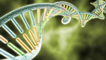 Pedigree Genetics & Analysis | Definition & Examples - Lesson | Study.com
