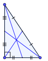 Classifying Segments Inside Triangles Practice | Geometry Practice ...