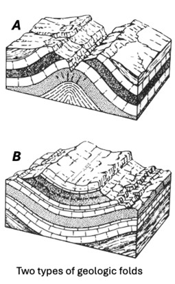 Quiz & Worksheet - Causes & Types of Geological Folds | Study.com