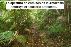 Environmental Problems in Spanish-Speaking Countries | Study.com