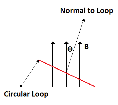 Calculating the Magnetic Flux through a Circular Loop with Arbitrary ...
