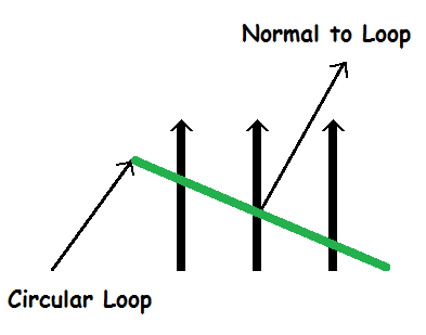 Calculating the Magnetic Flux through a Circular Loop with Arbitrary ...