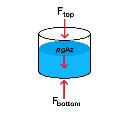 Drawing a Free Body Diagram for an Infinitesimal Layer of Fluid at ...
