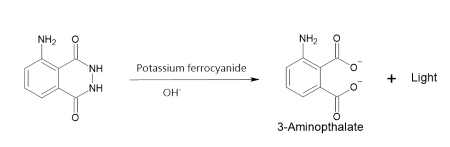 Show the ARROW PUSHING MECHANISM for the reaction of luminol synthesis ...