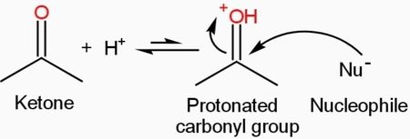 When the carbonyl group of a neutral ketone is protonated: a. the ...