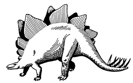 Asdf Stegosaurus