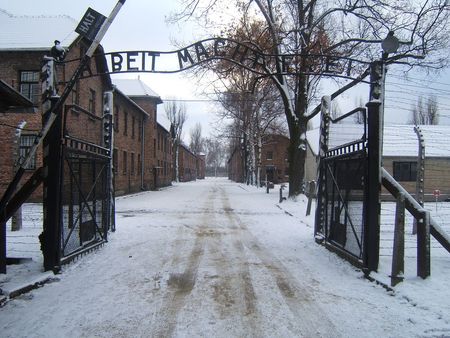 Auschwitz Concentration Camp | Overview, Location & Liberation | Study.com