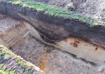 Archaeology Definition, History & Types - Lesson | Study.com