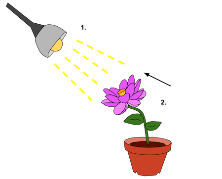 Unconditioned Stimulus | Definition & Examples - Lesson | Study.com