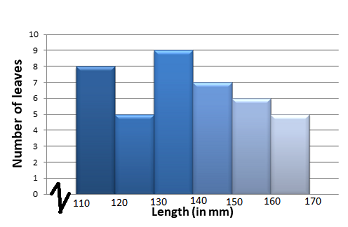 Creating Histograms Practice | Statistics and Probability Practice ...