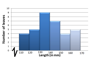 Creating Histograms Practice | Statistics and Probability Practice ...