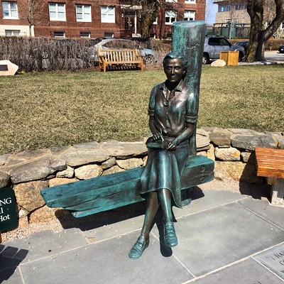 Environmental Law Definition & Policies - Lesson | Study.com