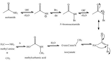 Describe the mechanism of formation of methylamine from acetamide ...