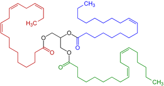 Esterification | Reaction, Mechanism & Formula - Lesson | Study.com