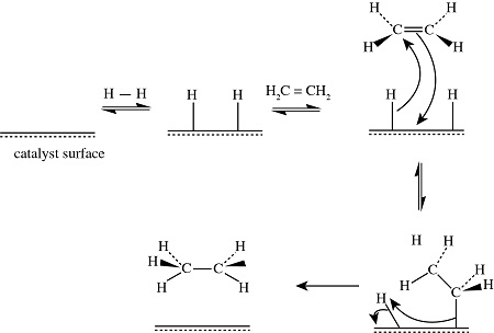 Describe the steps in the catalytic hydrogenation of ethylene. | Study.com