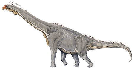 Saurischian Dinosaurs | Definition, Characteristics & Examples | Study.com