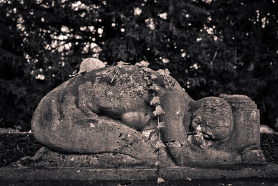 Elegiac Poems | Definition, Purpose & Examples - Lesson | Study.com