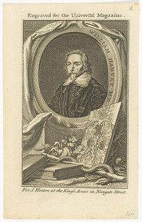 William Harvey Lesson for Kids: Work & Contributions | Study.com