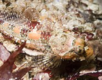 Facts About Lake Superior: Lesson for Kids | Study.com