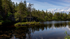 Tuck Everlasting Chapter 12 Summary | Study.com