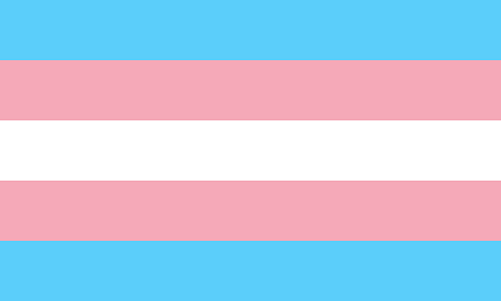 Transgender Rights Movement in US | Definition, Law & History | Study.com