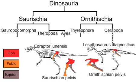 Evaluating the Development and Revision of Hypotheses Based on ...