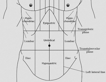 The Nine Abdominal Regions Upper Middle Lower Abdomen Lesson The Nine Abdominal Regions Upper Middle Lower Abdomen Lesson