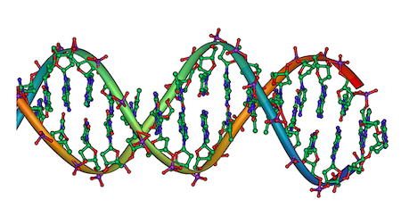 Annealing in Biology | Overview & Process - Lesson | Study.com