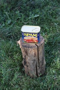 Canning Definition, History & Process | Study.com