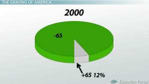 The Graying of America | Definition, Factors & Consequences - Lesson ...