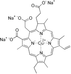 Chlorophyll | Definition, Structure & Function - Lesson | Study.com