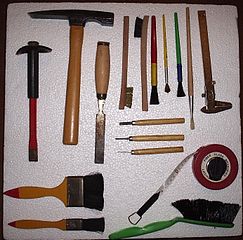 Archaeology vs. Paleontology | Overview, Branches & Comparison - Lesson ...