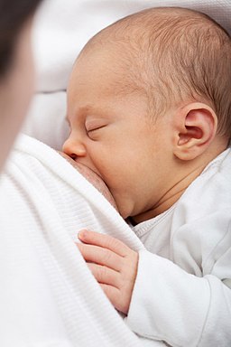 Rooting Reflex in Babies | Definition & Causes - Lesson | Study.com