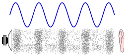 Sound Wave Properties, Amplitude & Frequency - Lesson | Study.com