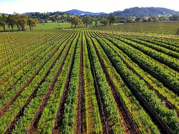 Agricultural Production Regions Associated With Bioclimatic Zones ...