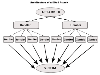 Using Digital Forensics to Detect Crime | Study.com