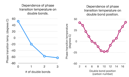 Interpreting a Graph of Membrane Phospholipids to Predict their Ability ...