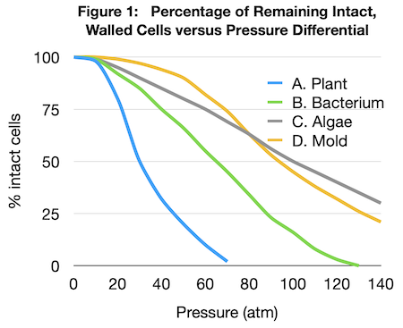 Comparing the Structural Integrity of the Cell Membrane & Cell Wall ...