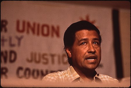 United Farm Workers | Activities, Accomplishments & Facts | Study.com
