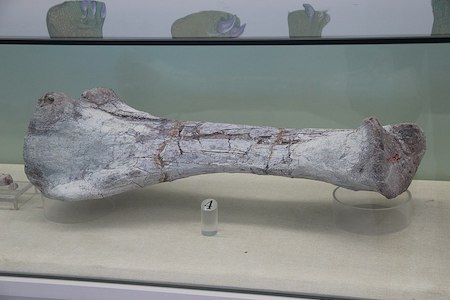 Giants in Mythology | Stories, Types & History | Study.com