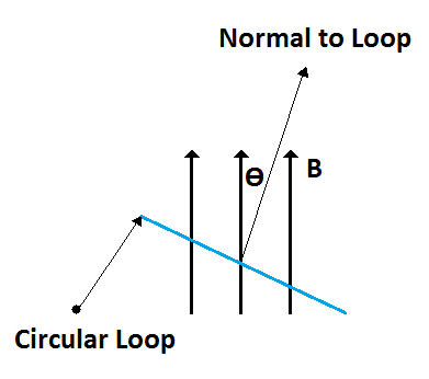 Calculating the Magnetic Flux through a Circular Loop with Arbitrary ...