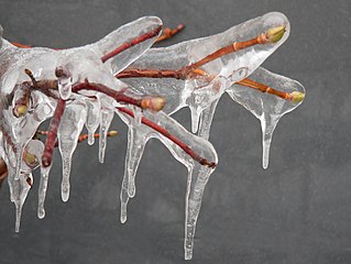 Sleet | Definition, Formation & Safety - Lesson | Study.com