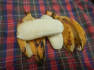 Wild Type in Genetics | Definition & Examples - Lesson | Study.com