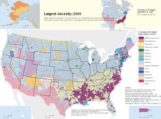 Mexican Americans: History, Culture & Politics | Study.com