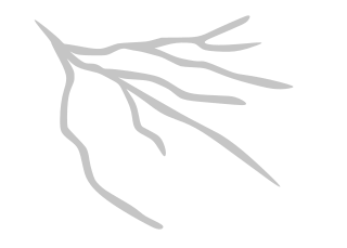 Mold | Characteristics, Structure & Benefits - Lesson | Study.com