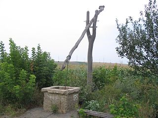 Technology | Definition, Types & Forms - Lesson | Study.com