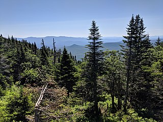 Pros & Cons of Hunting | Overview & Arguments - Lesson | Study.com