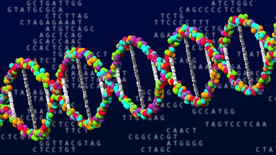 Biological Psychology | Definition & Topics - Lesson | Study.com