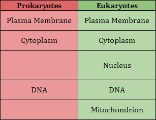 GED Science Practice Test