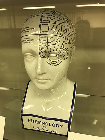 Franz Joseph Gall & Phrenology Theory | Overview & Examples - Lesson ...